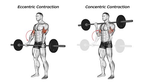 Eccentric Contraction