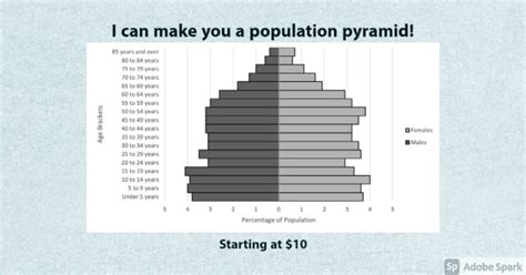 Create A Population Pyramid For You By Loboseth Fiverr