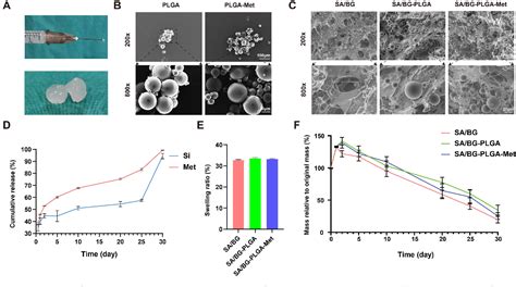 Metformin Loaded Plga Microspheres Combined With An In Situ Formed Injectable Sa Bg Hydrogel