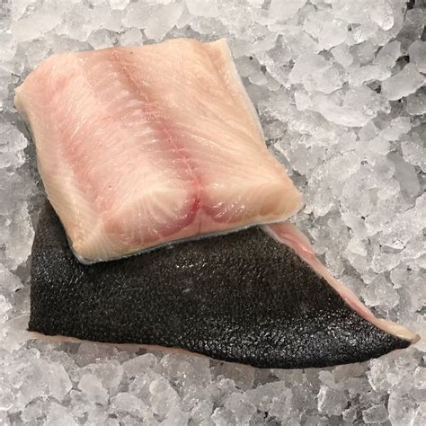 Sablefish Black Cod Lobster Maine Ia
