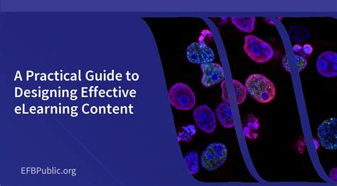 A Practical Guide To Designing Effective Elearning Content