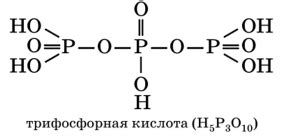 ФОСФОРНОВАТИСТАЯ КИСЛОТА, ФОСФОРНЫЕ КИСЛОТЫ - Основы химии