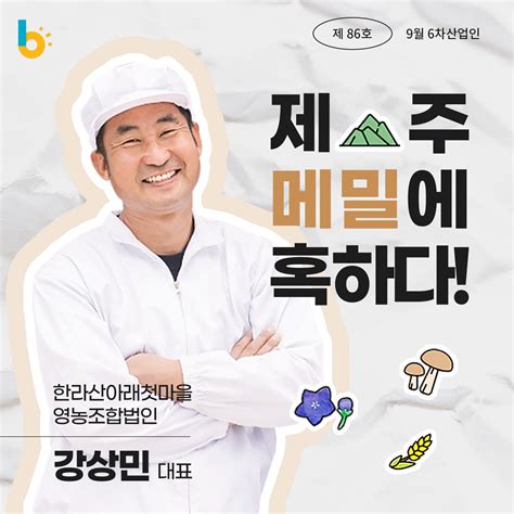 6차산업 쫀득하고 속편한 메밀 제주 메밀에 혹하다🤎 코로나 19로 멈췄던 메밀 축제를