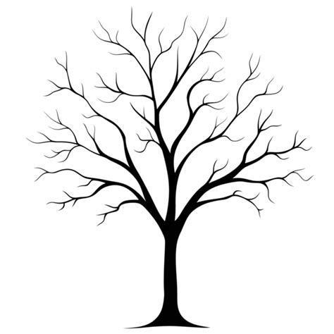Tree Outline Pngs For Free Download