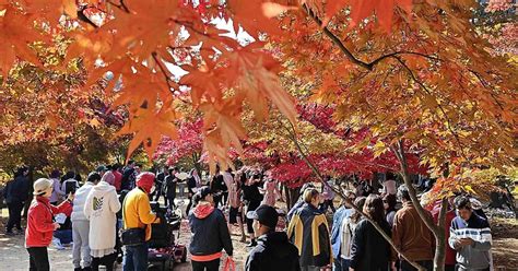 울긋불긋 물들어가는 가을형형색색 단풍 절정