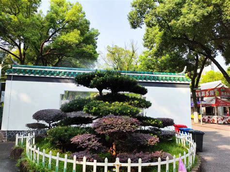 湘潭和平公园喷灌抗旱 收获“绿色效益”湘潭湖南频道红网