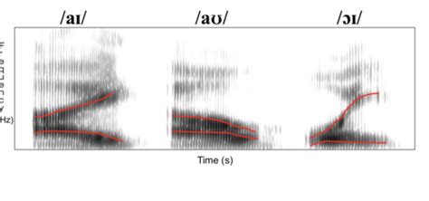 Speech Science Vowels To Consonants Flashcards Quizlet