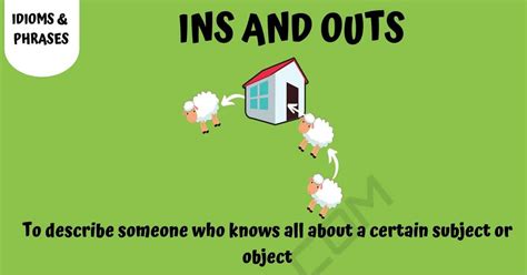 Ins And Outs The Definition Of This Idiomatic Expression With Helpful
