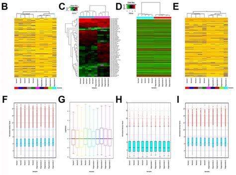 全转录组联合分析平台 百迈客云