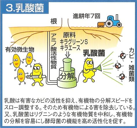 セイショー式農法の農関連技術