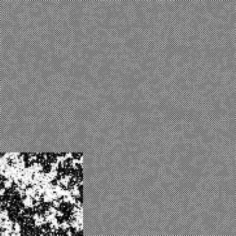 coarse grained snapshot inset and corresponding original spin map