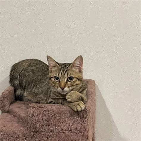 A M I Ami O Threads Say More