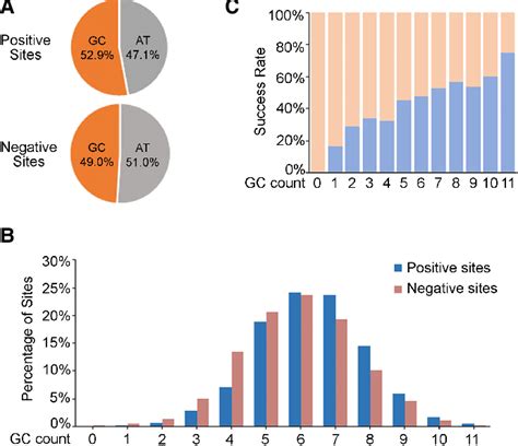 Gc Content Distribution In The 12 Nt Seed Sequence Of All The Tested Download Scientific