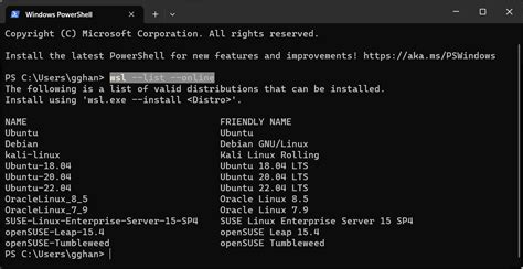 Container 1 Wsl