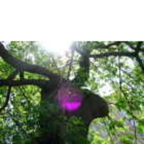 Robert Spiess Spiess Spiess Xing