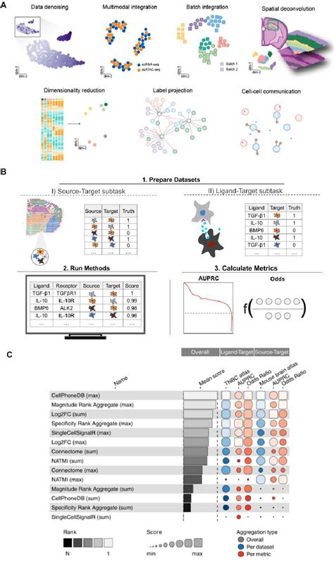 Figure 2 From Defining And Benchmarking Open Problems In Single Cell Analysis Semantic Scholar