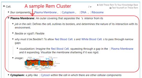 Rem Cluster A Group Of Rems That Can Be Reviewed Together In Sequential Order Feature