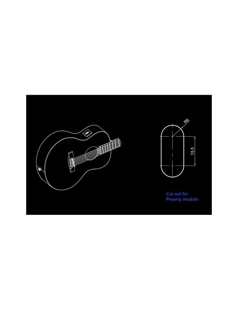 DOUBLE OS1: Preamp system with pickup, internal microphone and effects