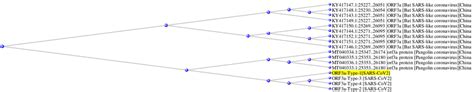 Phylogeny Distance Tree Of The Thirty Genomes Based On Sequential Download Scientific Diagram