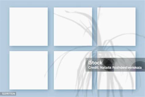 자연광은 푸른 질감의 배경에 누워 있는 6평방피트의 백서에 식물의 그림자를 투사합니다 모형 0명에 대한 스톡 벡터 아트 및 기타 이미지 Istock