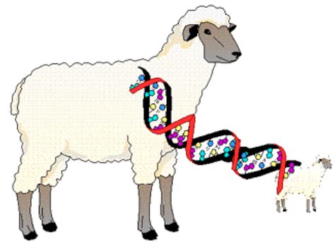 Learn Genetics Cloning Biological Science Picture Directory Pulpbits Net