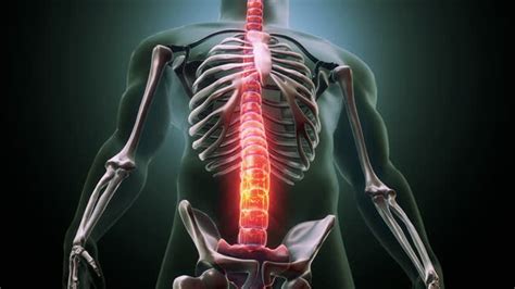 골다공증 수치 보는법 전문의사에게 배워봅니다