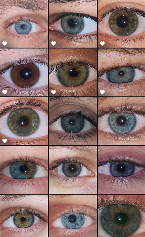 Genetics Of Human Iris Colour And Patterns Artofit