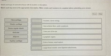 Solved Match Each Type Of Connective Tissue With Its