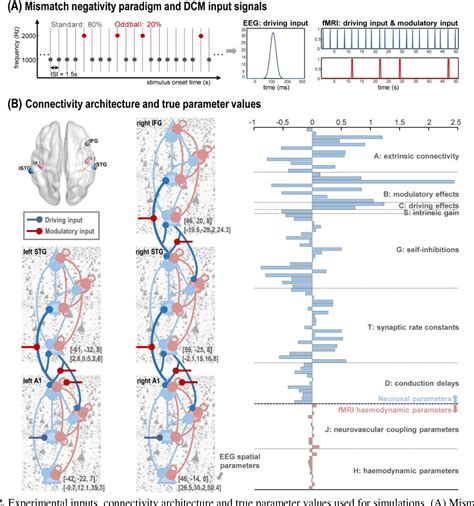 Figure 1 From Bayesian Fusion And Multimodal Dcm For Eeg And Fmri