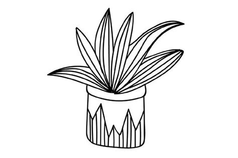 植物简笔画花盆 植物简笔画花 大山谷图库