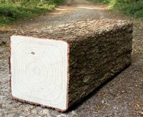 Realistic Oak Log Rrealisticminecraft