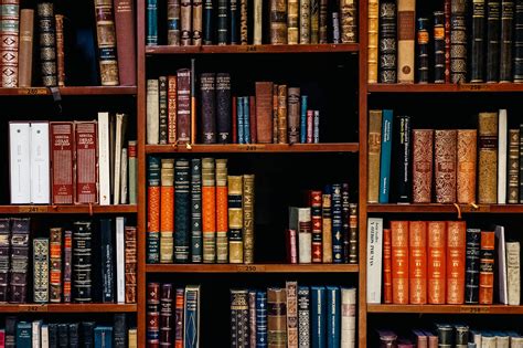 step by step nmf example in python by quin daly medium
