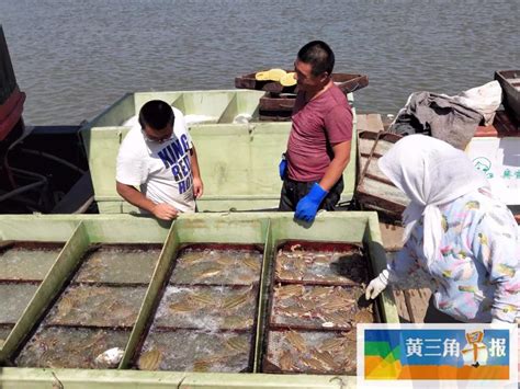开海啦！东营市民喜提“海鲜盛宴”！渔船