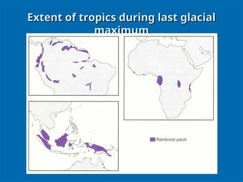 Species Diversity Overview And Explained PPT