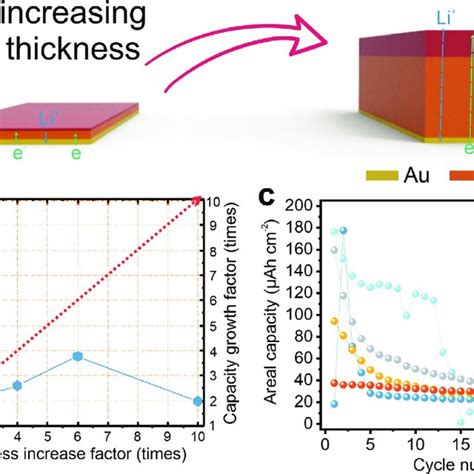 A Schematic Illustration Of Ion Diffusion And Charge Transport Path In Download Scientific