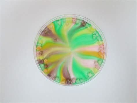 Colorful Candy Diffusion Science Activity