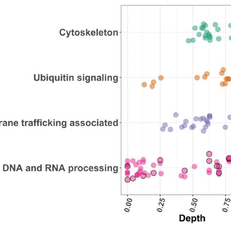 Phylogenetic Tree Depth For Membrane Trafficking Ubiquitin System Download Scientific Diagram