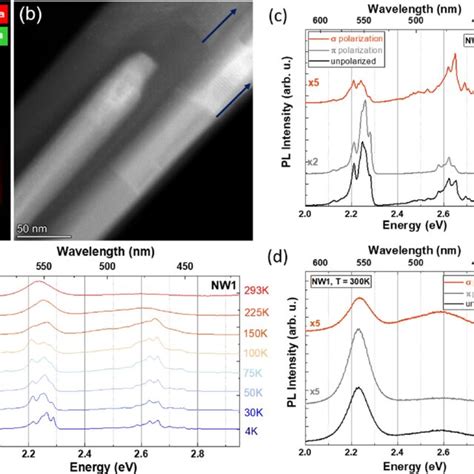 Stem And μ Pl Analysis Of Nw1 A Stem Edxs Map Scale Bar 200 Nm And Download Scientific