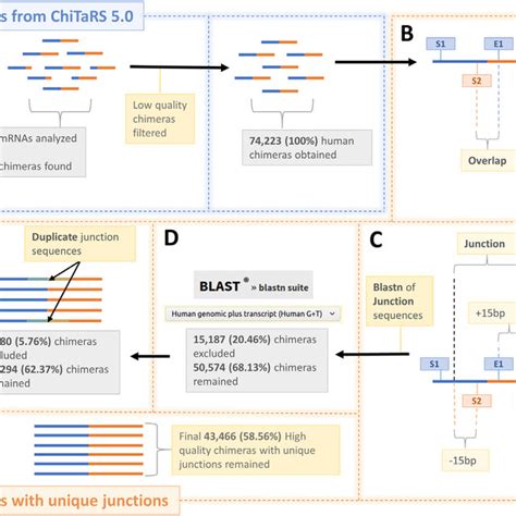 Collection Of Non Redundant Human Chimeras From Chitars 50 A Total