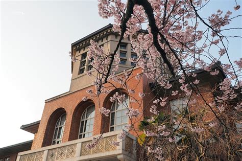 【京都賞櫻】賞櫻景點同志社女子大學、鴨川悠遊京都 陳小沁の吃喝玩樂