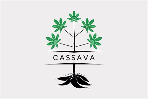 Premium Vector Simple Cassava Tree Vector Illustration Design