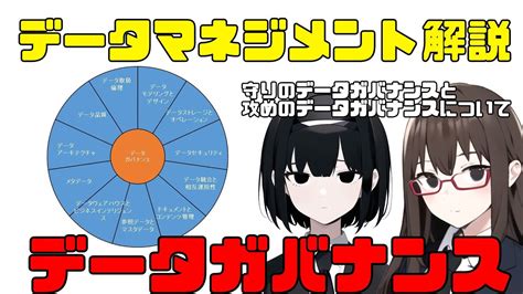 データガバナンス【データマネジメント解説】 Youtube