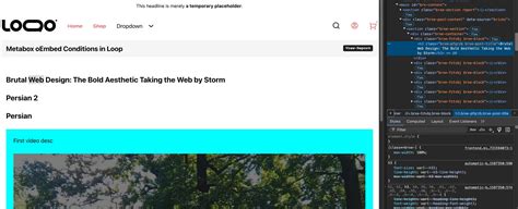 No Bug Using A Metabox Custom Field In Conditions Bugs Bricks
