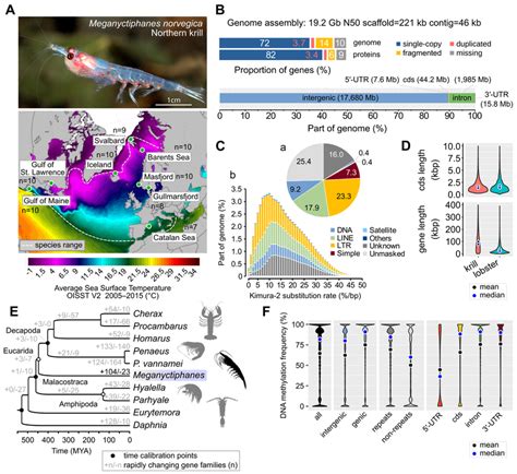 Sampling Genome Assembly And Genome Analyses Of The Northern Krill