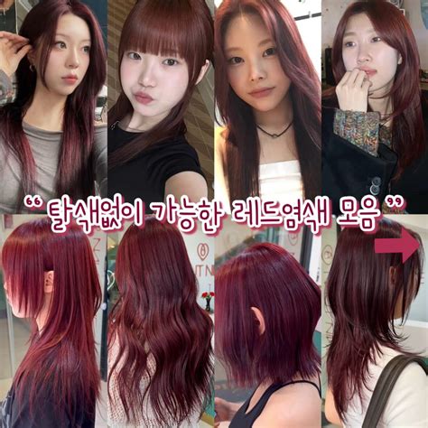 무트나인 라엘실장 레드염색 브라운염색 허쉬컷 퍼스널염색 성신여대미용실 한 번 하는 순간 못 헤어 나오는 딥레드바이올렛 🍇🍷 레드컬러 도 다양하게 많지만