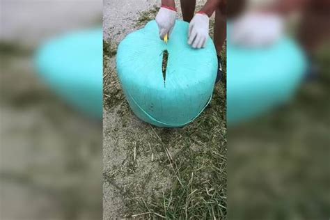 打捆包膜一体机包膜后开包效果蓬松的草一番操作比石头还硬 效果 石头 操作