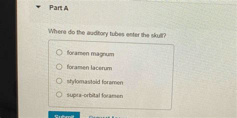 Solved Part Awhere Do The Auditory Tubes Enter The