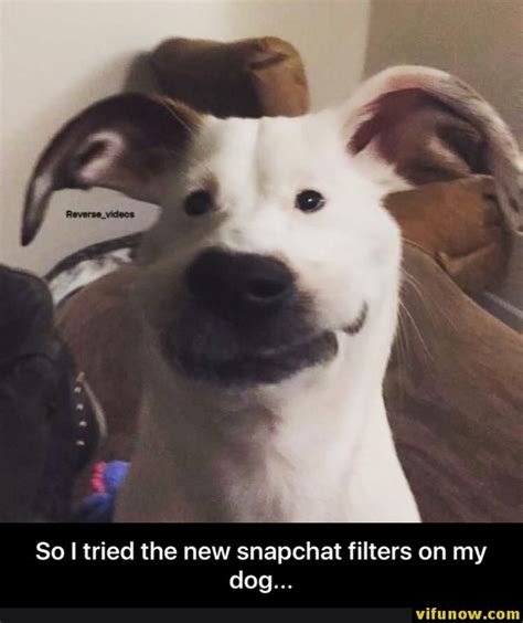 28 Funny Memes Of Todays Funnymemes Funnypictures Humor Funnytexts Funnyquotes