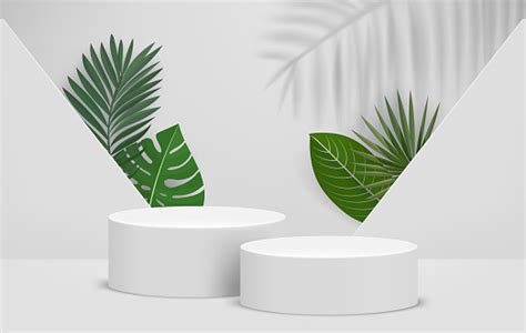 두 개의 연단과 녹색 잎이 있는 밝은 인테리어 친환경 제품 진열장 템플릿입니다 3d 벡터 배경 0명에 대한 스톡 벡터 아트 및 기타 이미지 Istock