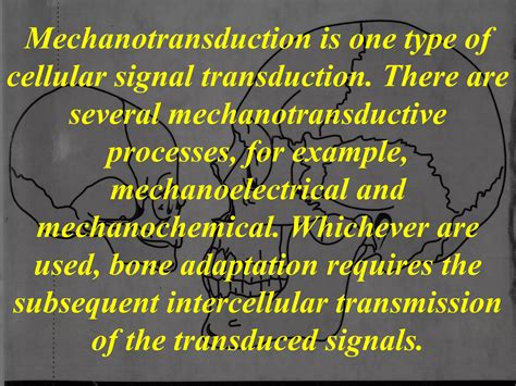 Functional Matrix Theory Ppt